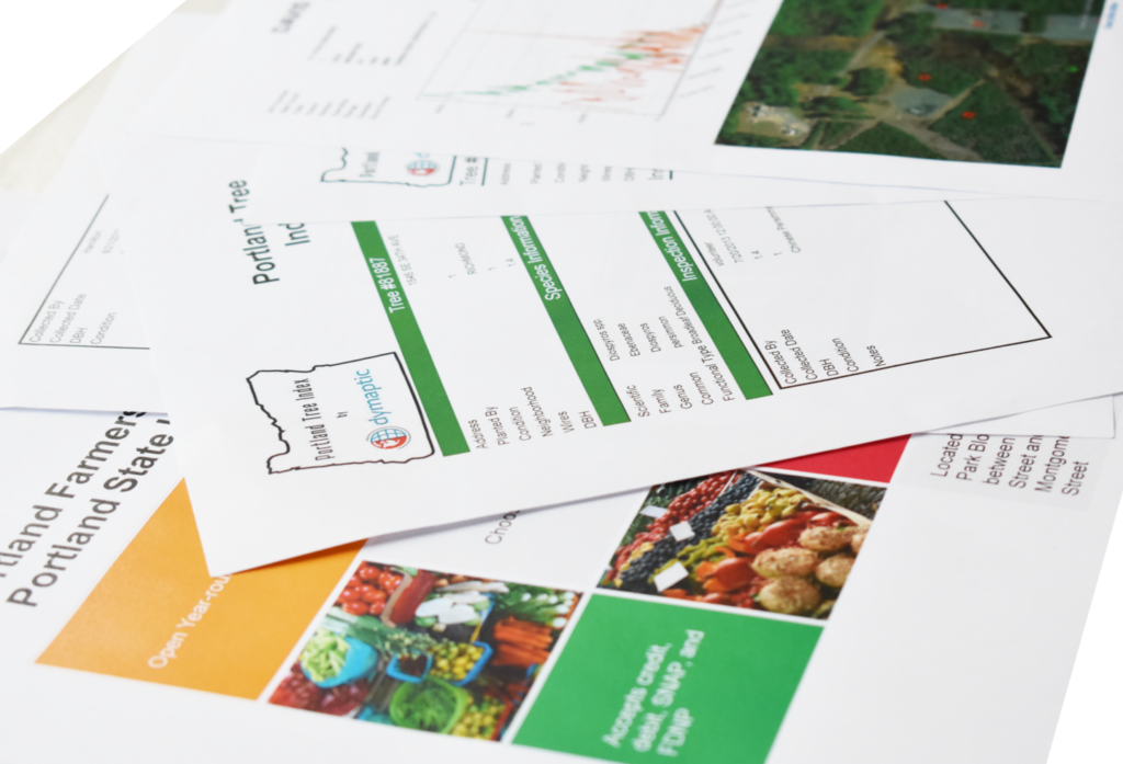 infomaptic Archives - dymaptic